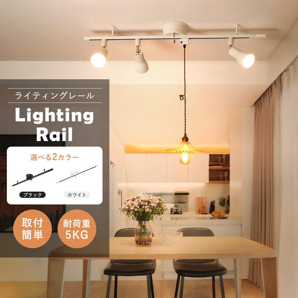 【共同照明】スポットライト E11 ダクトレール用 黒 白 配線ダクトレール用器具 LED電球対応